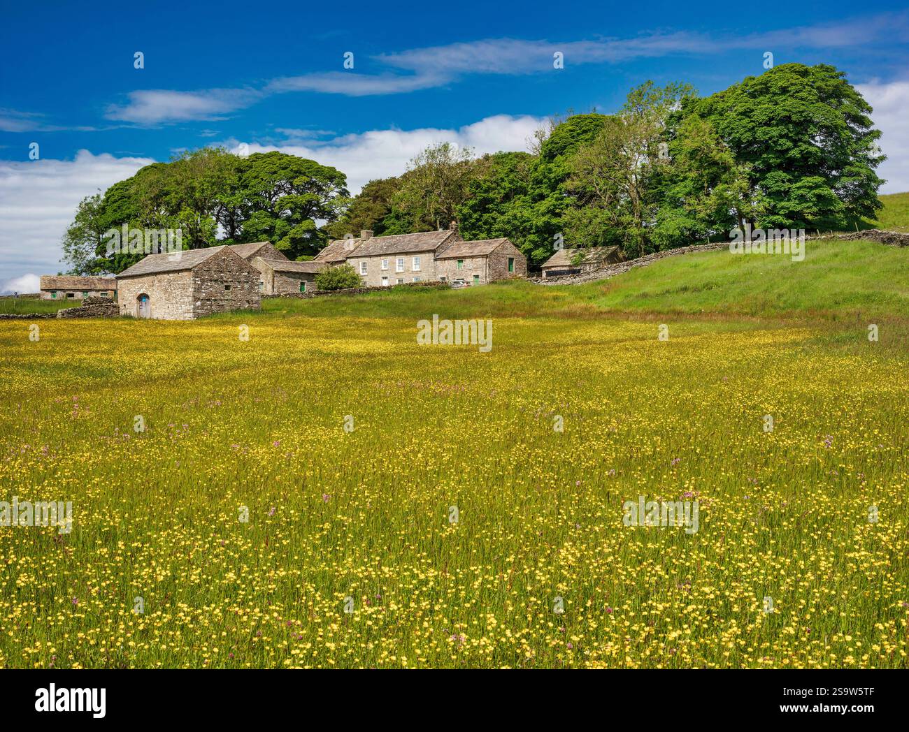 A daytime view in Summer of Hannah's Meadow Nature Reserve in ...