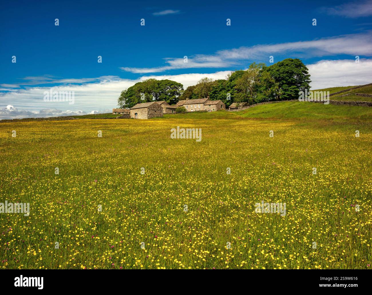 A daytime view in Summer of Hannah's Meadow Nature Reserve in ...
