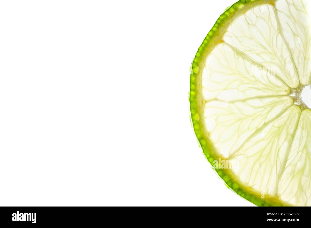 Thin slice of lime backlit on a white background Stock Photo - Alamy