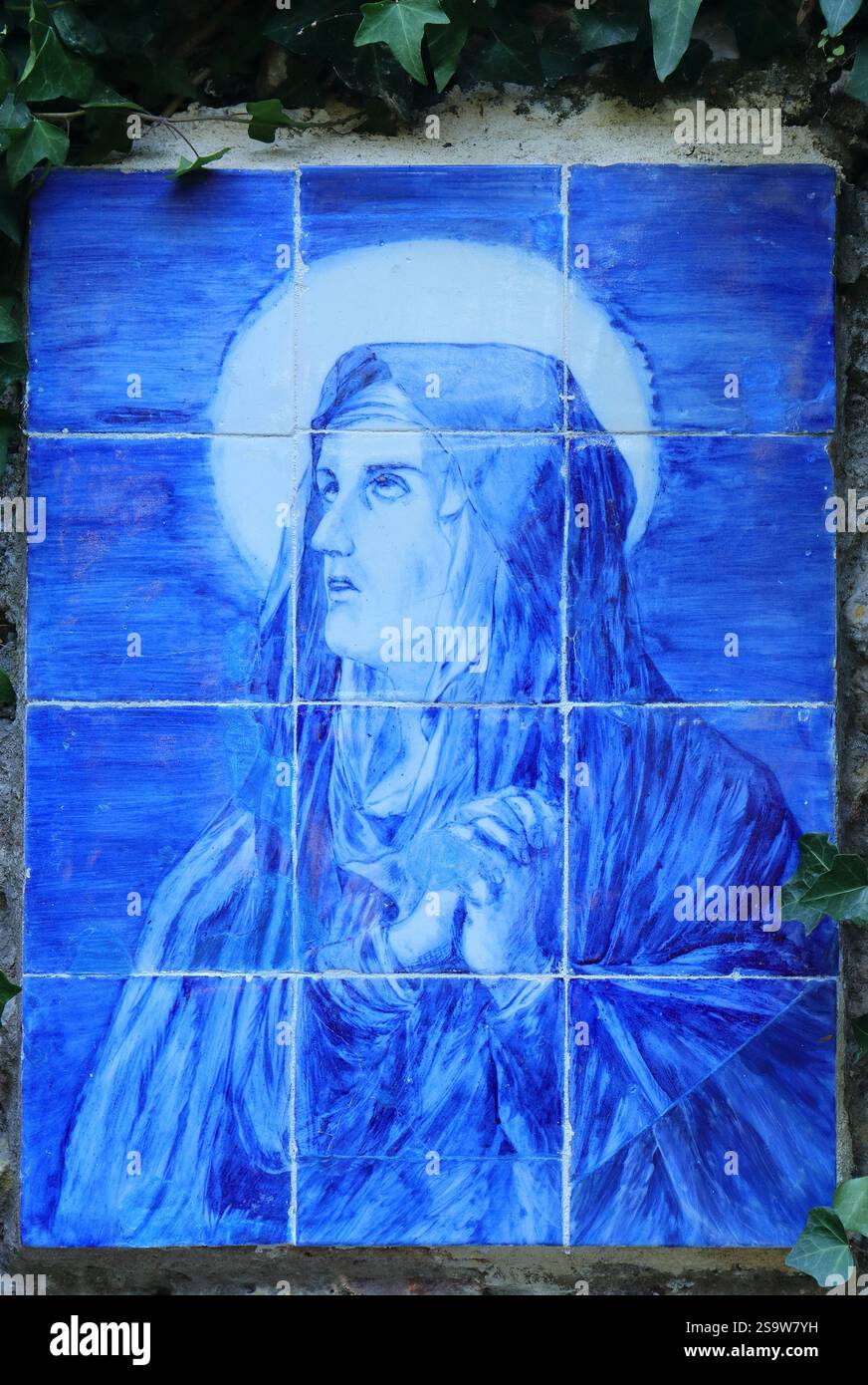 Typical antique Portuguese blue and white ceramic tiles depicting the ...