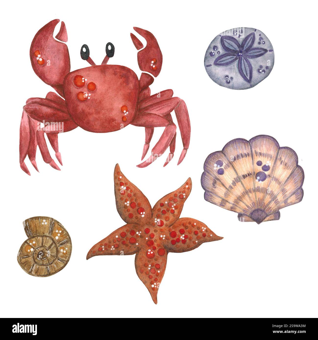 Set of sea animals: crab, starfish and shellfish on a white background ...