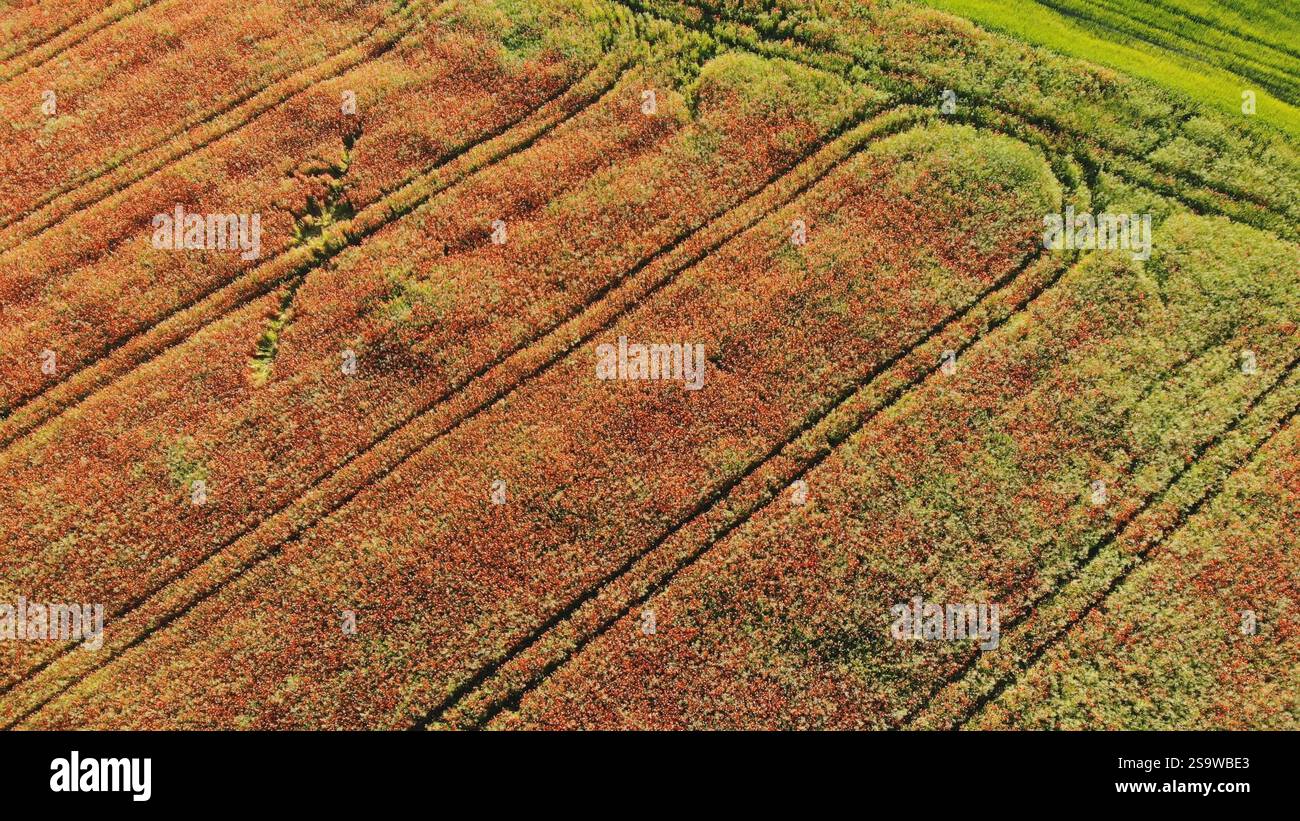 Drone footage spring field hi-res stock photography and images - Alamy