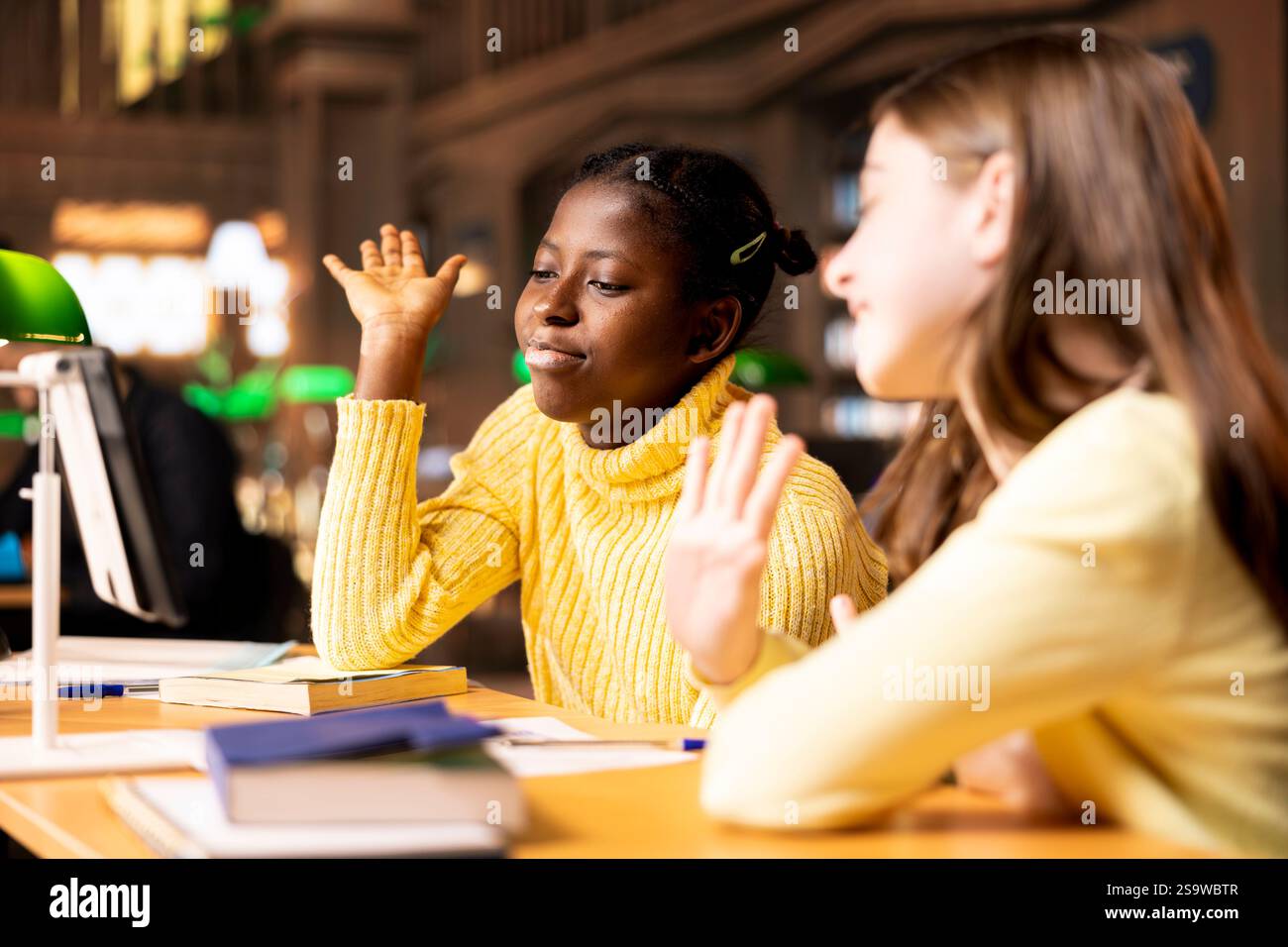 Two diverse schoolgirls attending an online class via video call in the ...