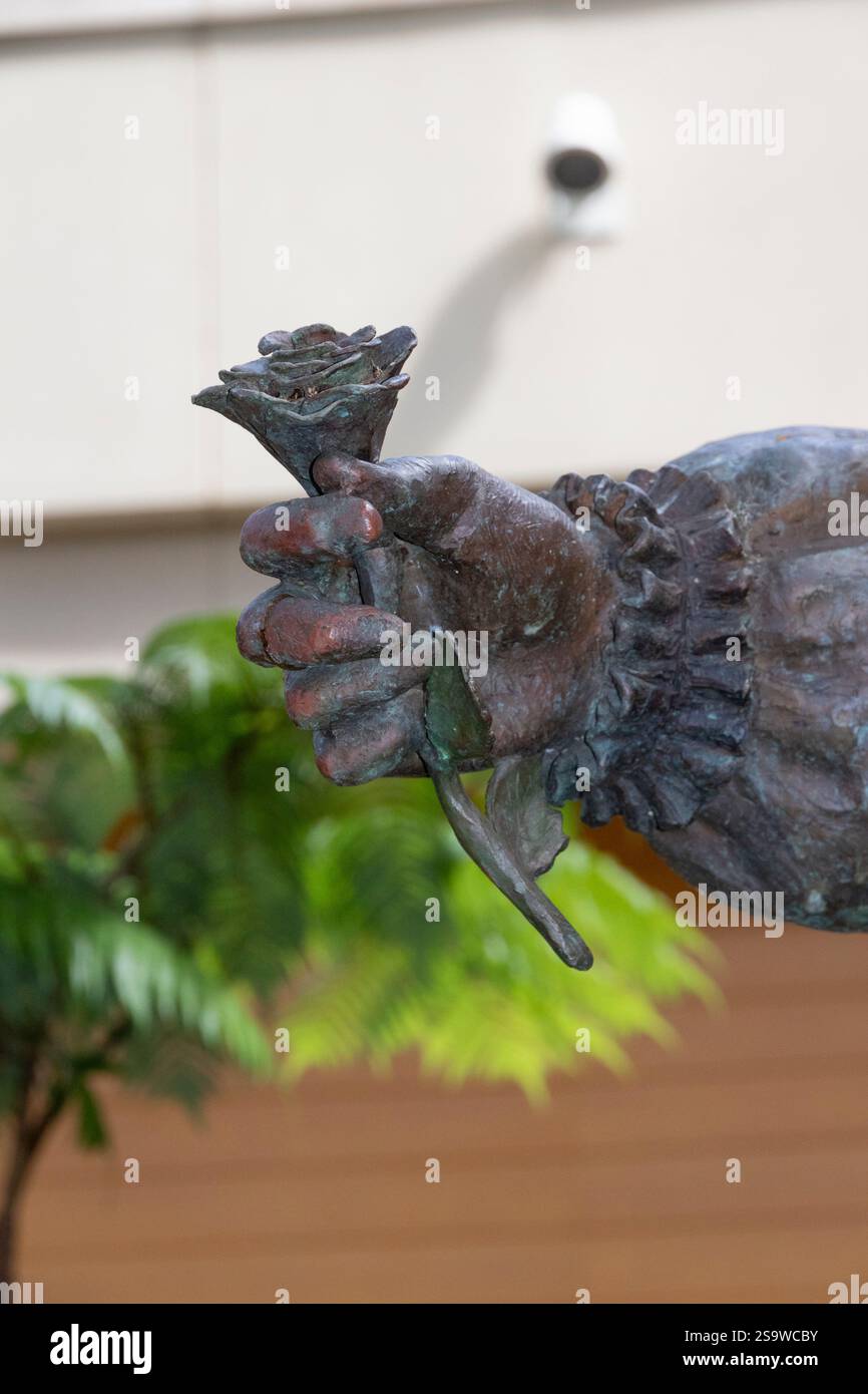 Honolulu, Hawaii, USA - February 22, 2024 - Close up of a rose held by ...
