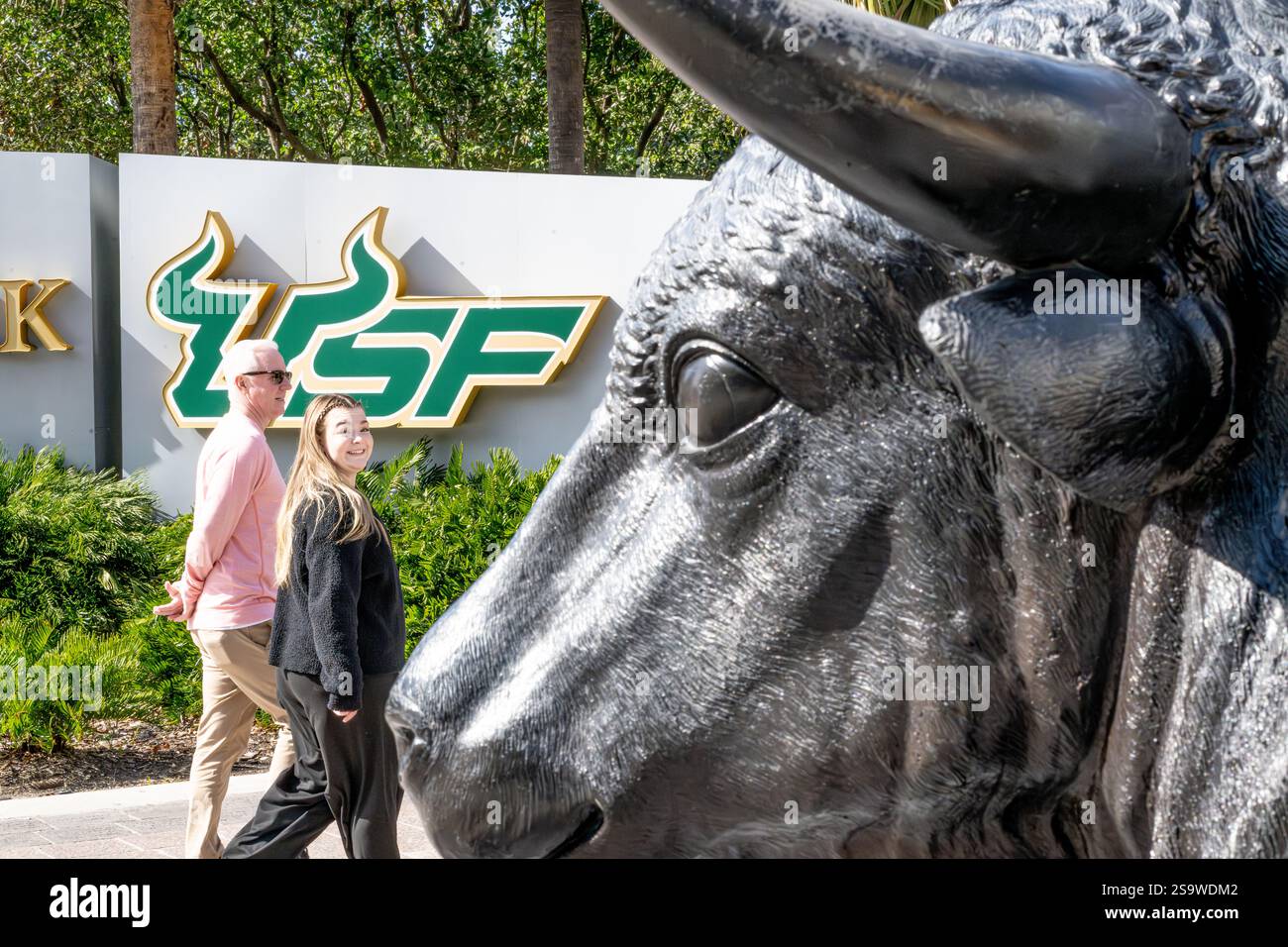 University of southern florida logo hi-res stock photography and images ...