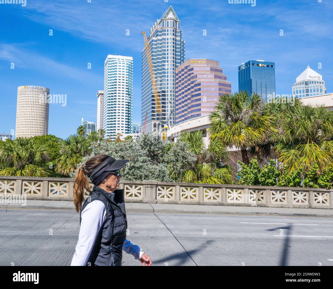 Tampa Bay skyline views from Riverwalk trail Stock Photo - Alamy