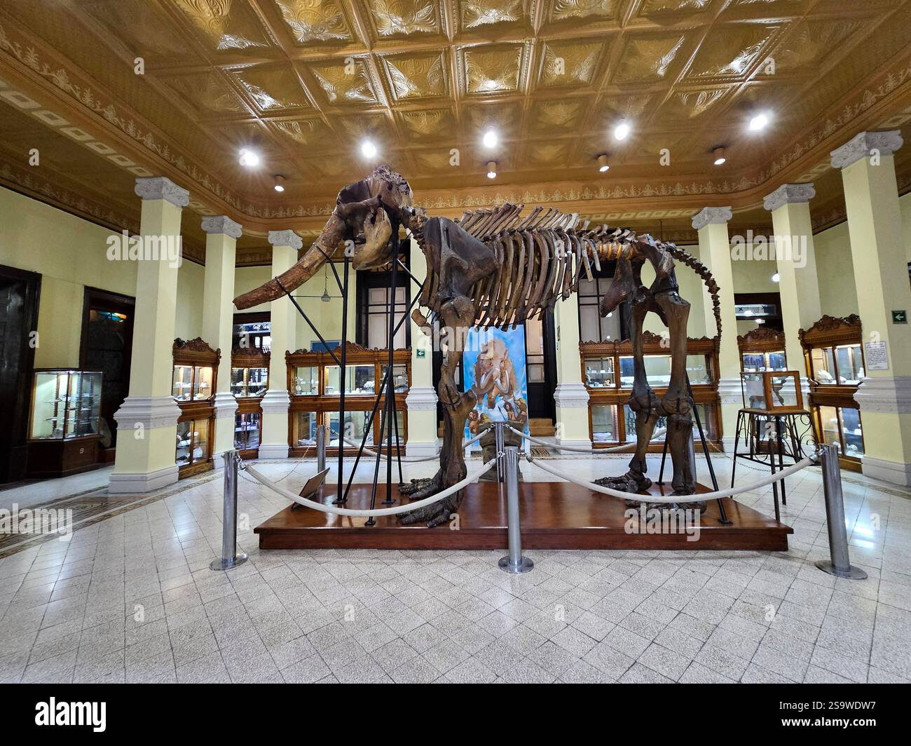 Mexico City, Mexico - Jan 31 2024: UNAM Geology Museum in Santa Maria ...