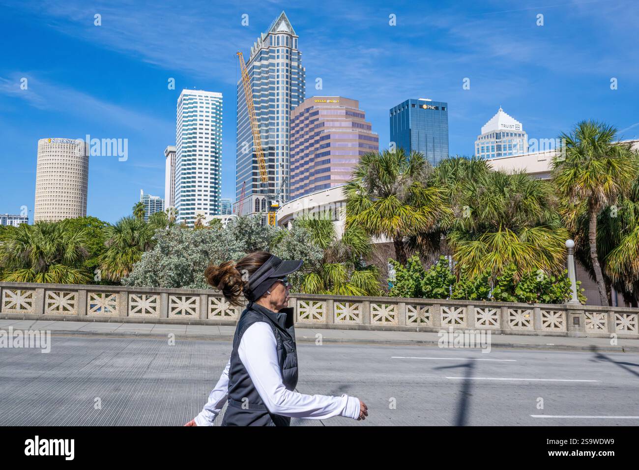 Tampa Bay skyline views from Riverwalk trail Stock Photo - Alamy