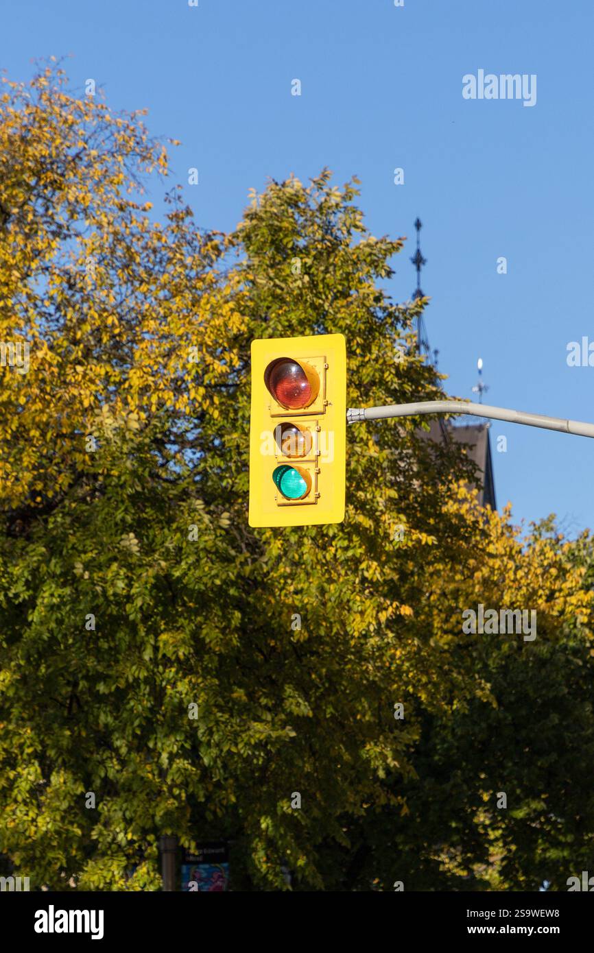 Traffic lights on the street of Ottawa city in Canada in autumn. Green ...