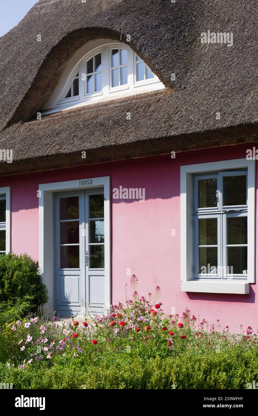 Traditional Thatched Cottage with Pink Walls and Garden Stock Photo - Alamy