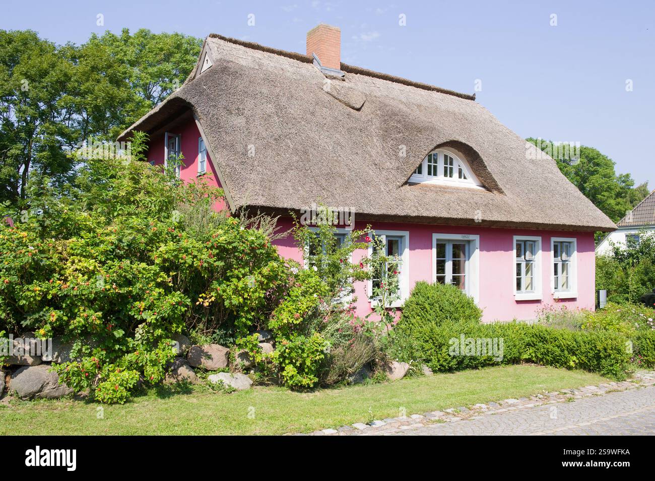Traditional Thatched Cottage with Pink Walls and Garden Stock Photo - Alamy