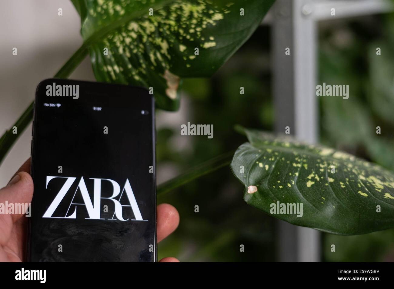 Zara logo on the screen of mobile phone. Fast fashion industry Stock ...