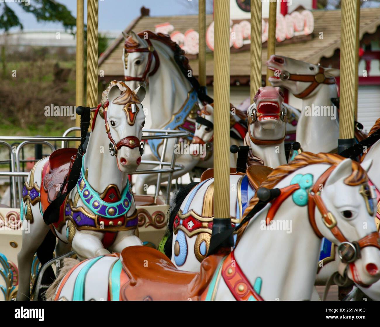 Horses stampede herd hi-res stock photography and images - Alamy