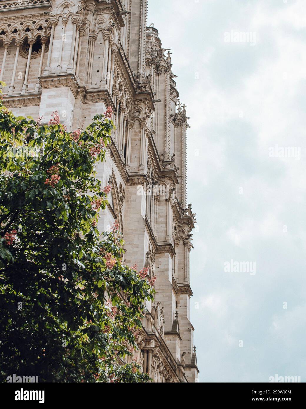 Stunning photograph of the Notre-Dame Cathedral in Paris, capturing its ...
