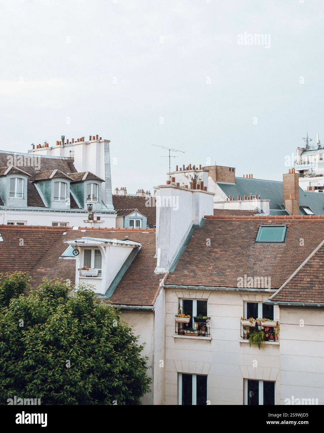 Charming photograph of a classic Parisian building, showcasing its ...