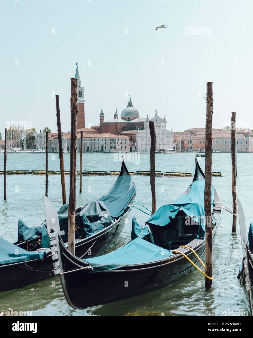 Stunning photograph of docked gondolas along the Grand Canal in Venice ...