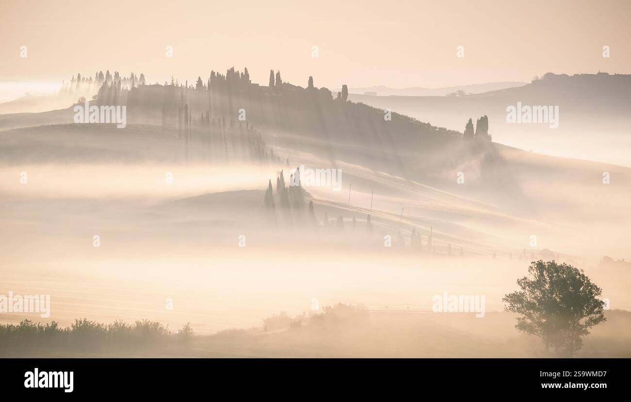 Misty Tuscan Hills with Cyprus Trees - Tuscany Italy Stock Photo - Alamy