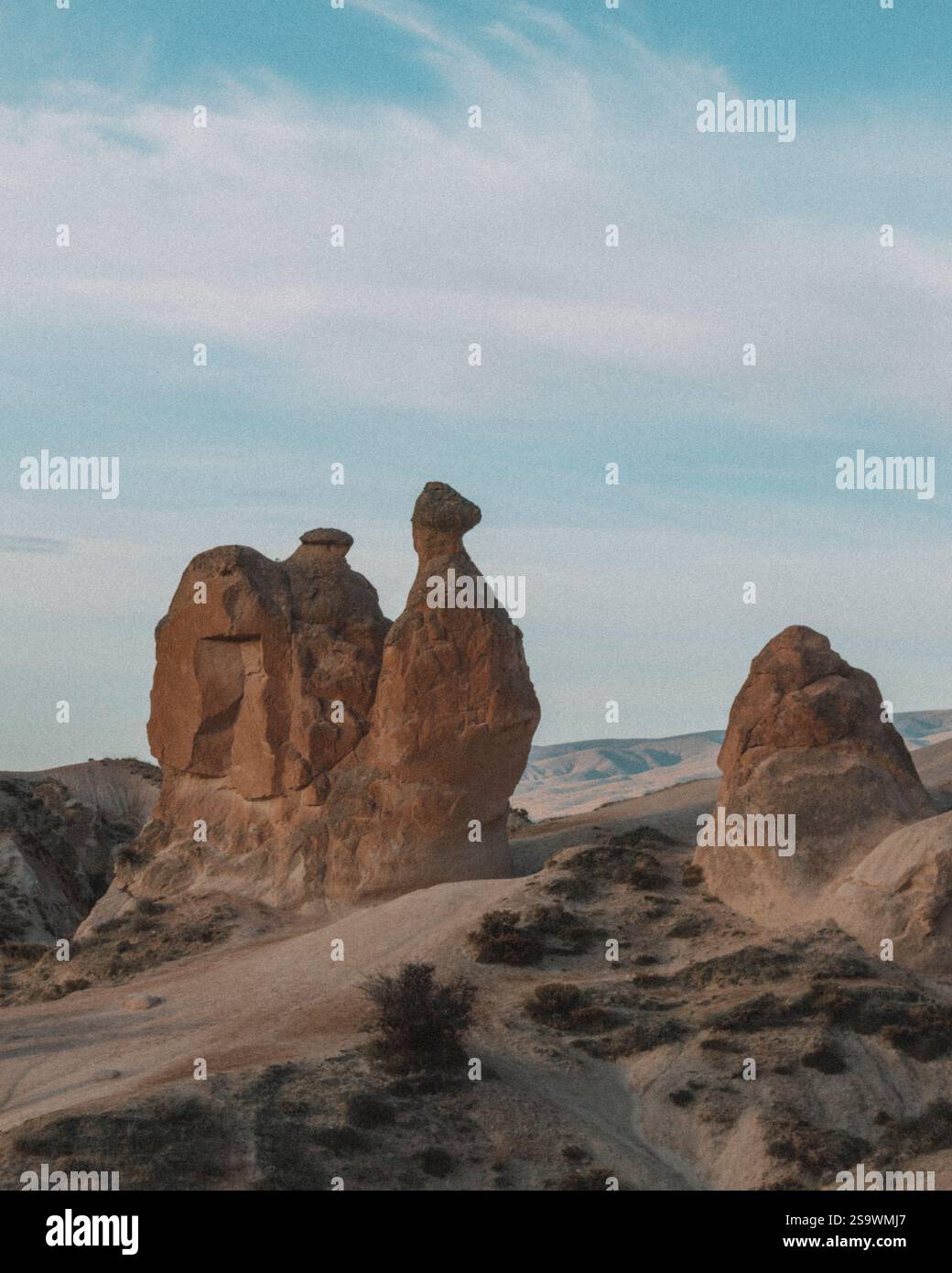 Intriguing photograph of a camel-shaped rock formation in the desert of ...