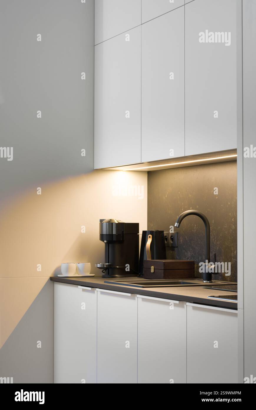 Modern Minimalist Kitchen Counter with Coffee Machine and Sink Stock ...
