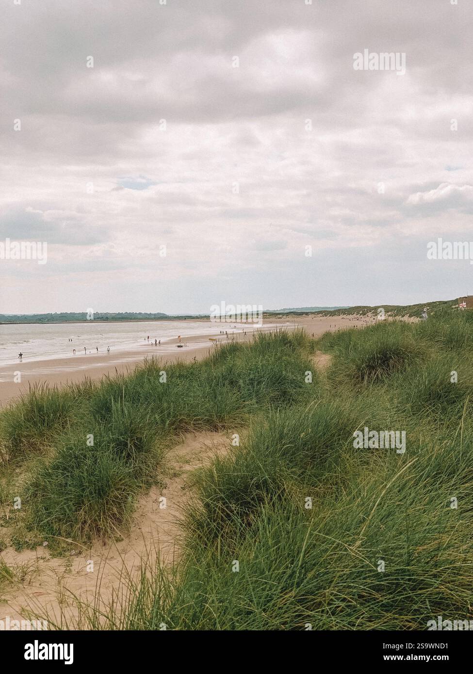 Stunning photograph of the expansive sand dunes at Camber Sands in Rye ...