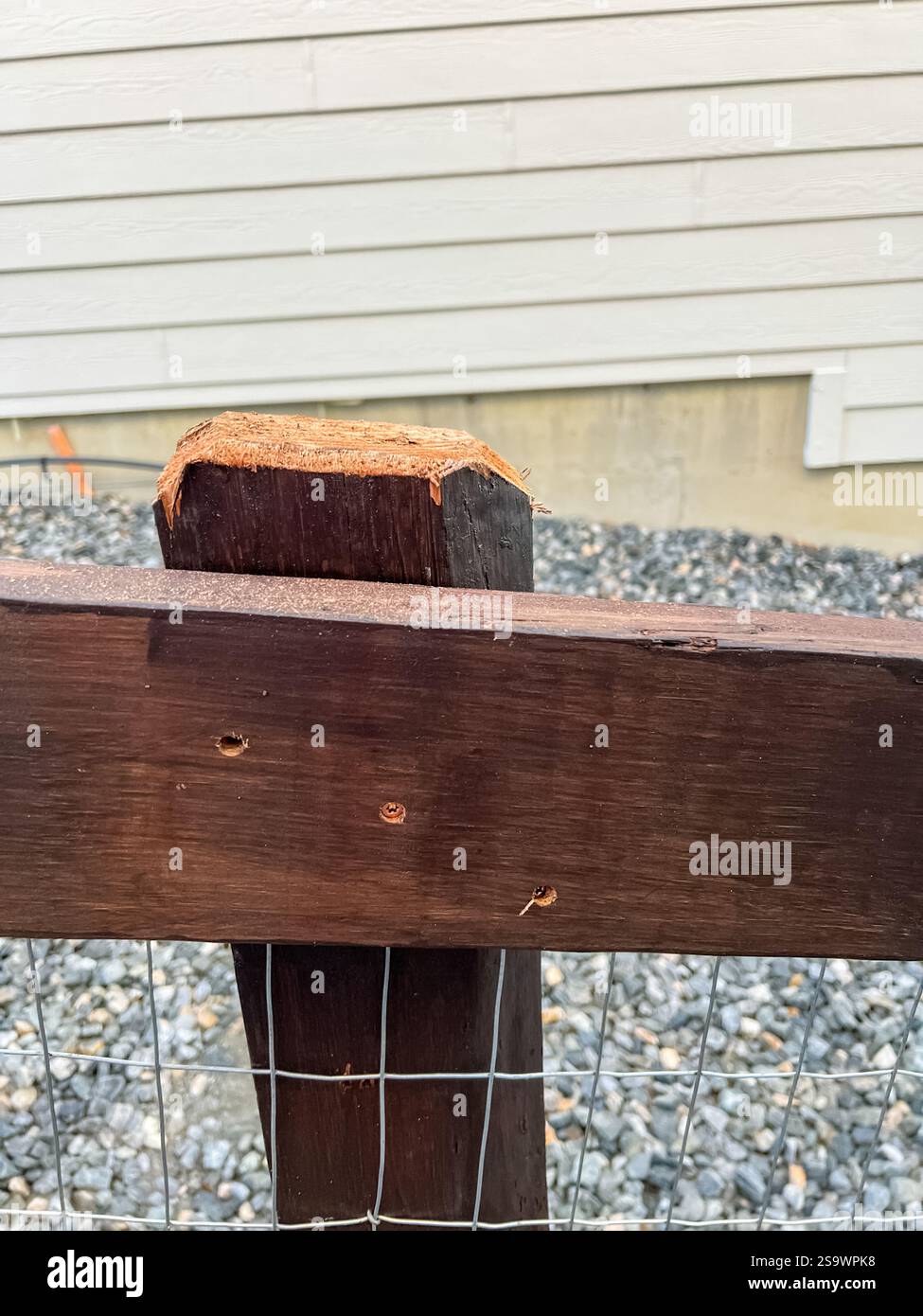 Split rail fence installation with wire mesh Stock Photo - Alamy