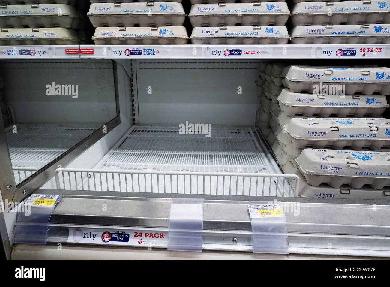 Large count cartons of eggs are sold out at a Safeway, Monday, Jan. 27 ...