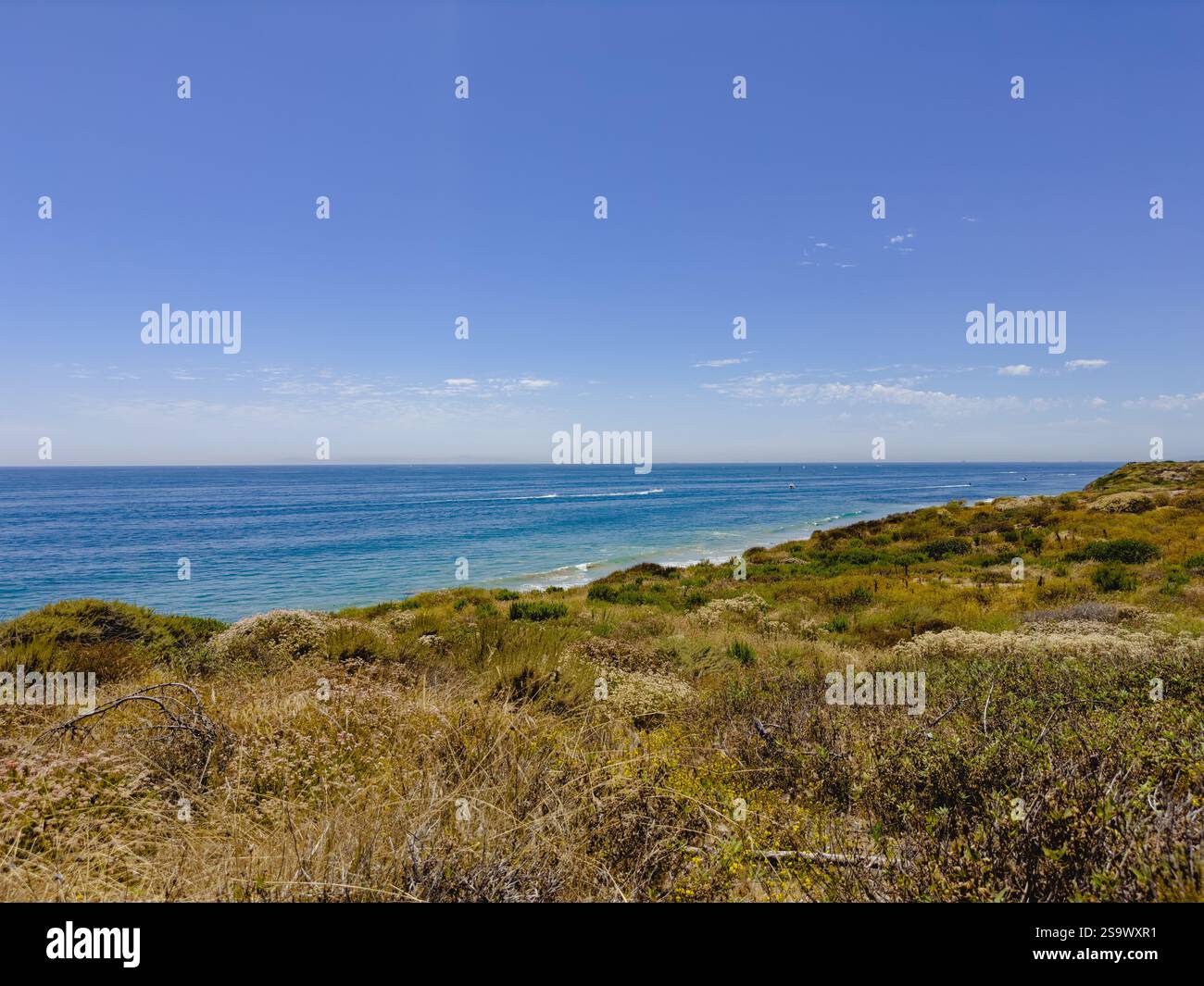 View of the Pacific Ocean from a green vegetation covered hillside in ...