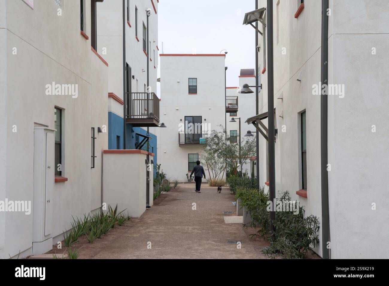 Tempe, USA. 25th Jan, 2025. Culdesac Tempe is the first car-free ...