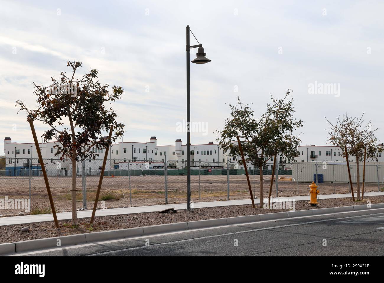Tempe, USA. 25th Jan, 2025. Culdesac Tempe is the first car-free ...