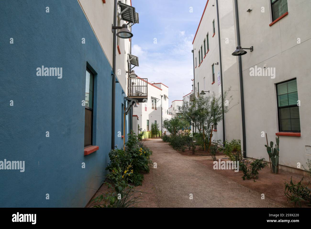 Tempe, USA. 25th Jan, 2025. Culdesac Tempe is the first car-free ...