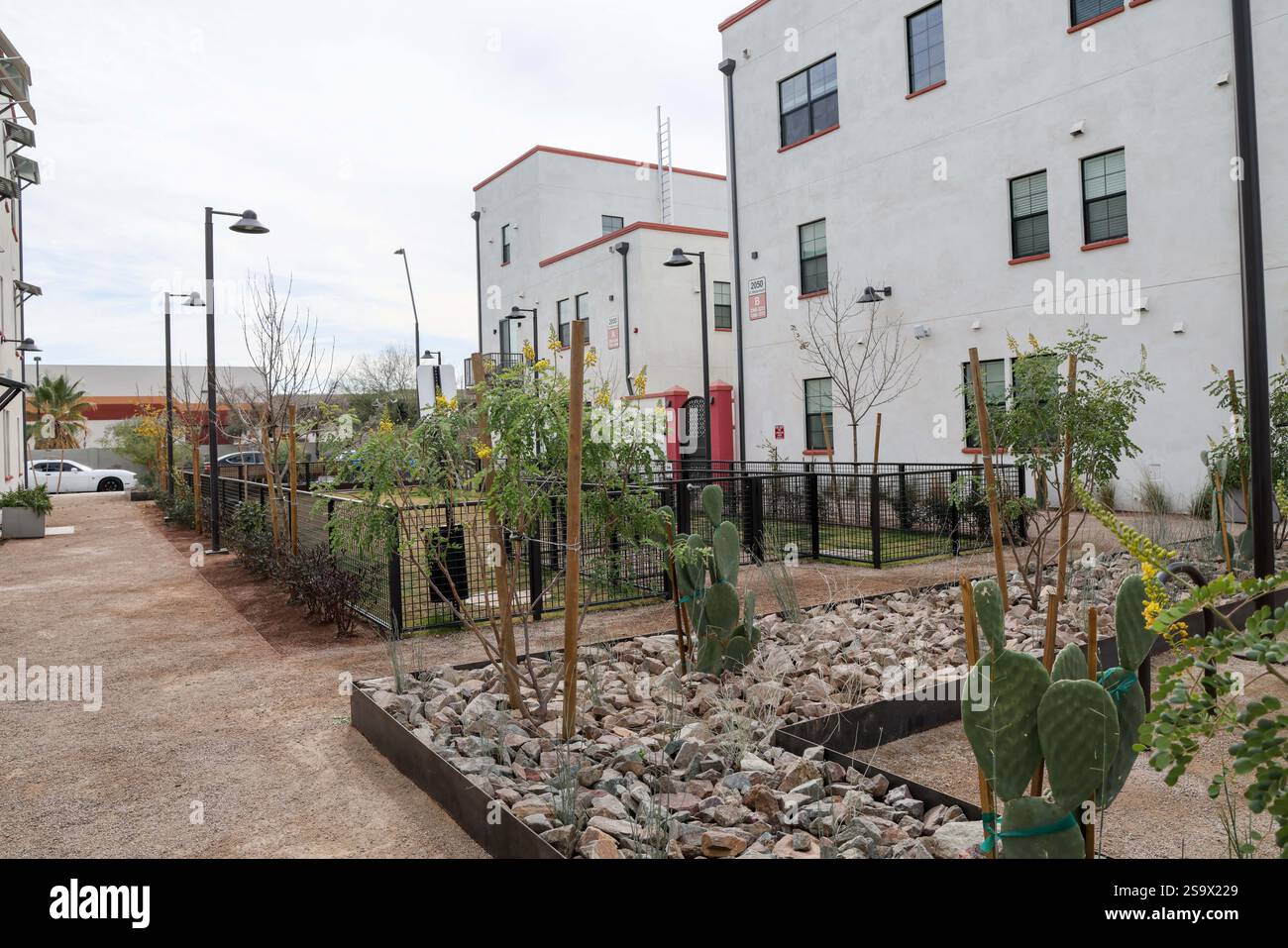 Tempe, USA. 25th Jan, 2025. Culdesac Tempe is the first car-free ...
