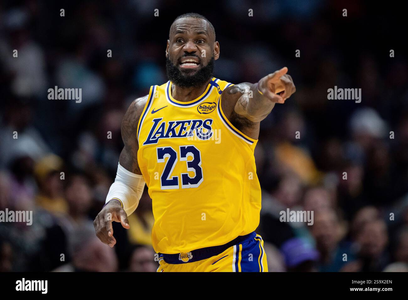 Los Angeles Lakers forward LeBron James directs a play during the first ...
