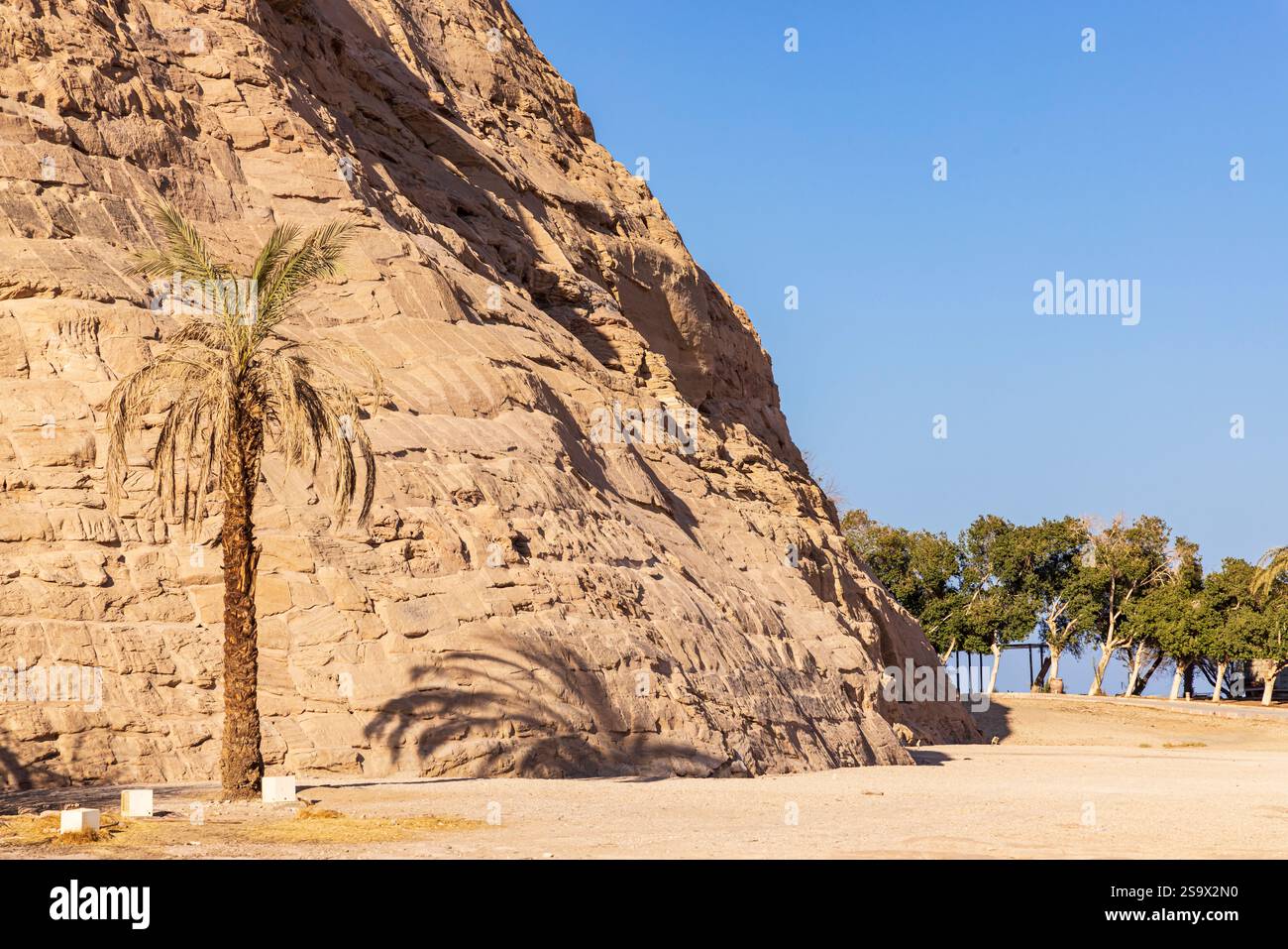 Abu Simbel, Aswan, Egypt. Palm tree and rock bluff Stock Photo - Alamy
