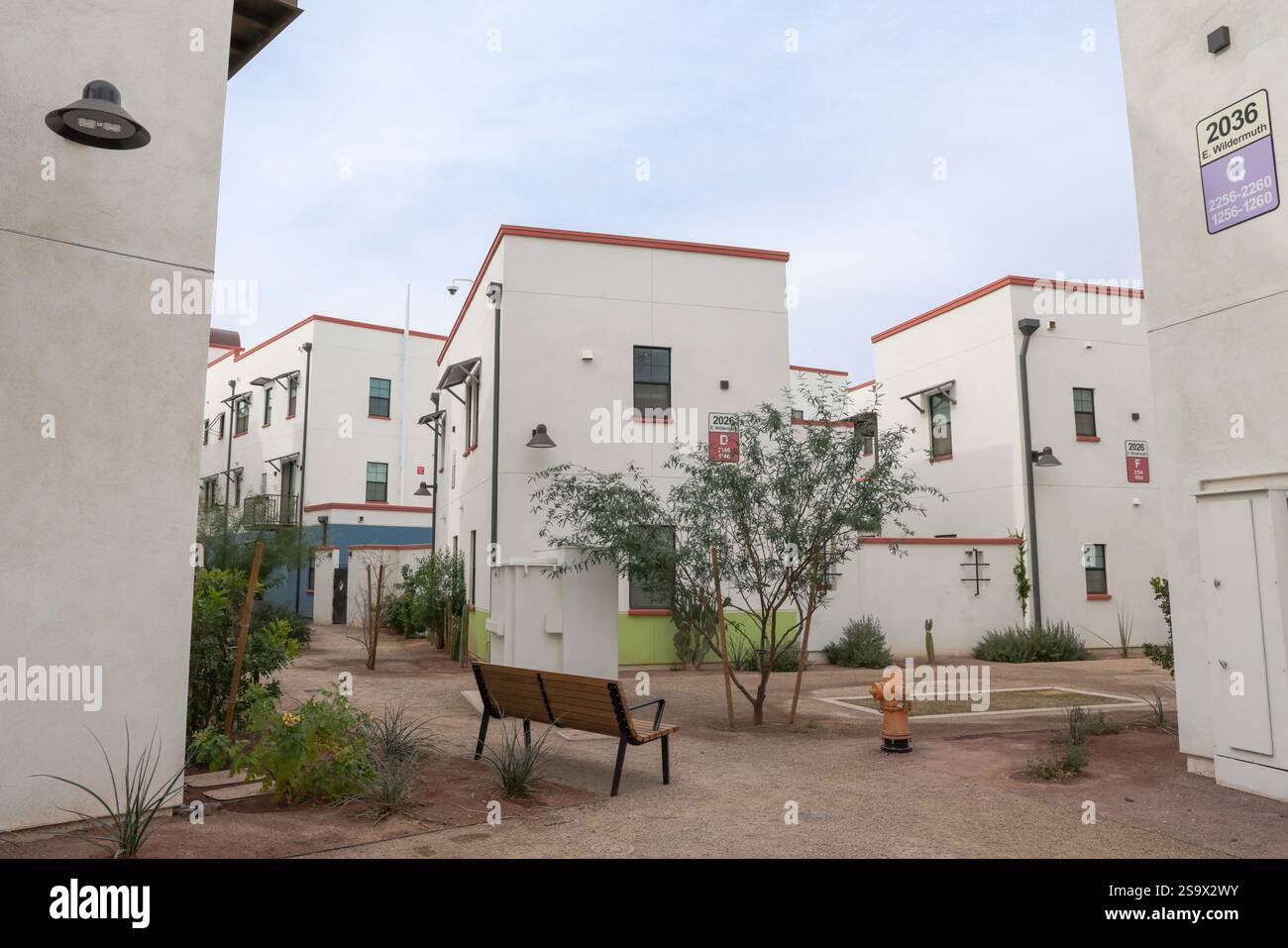 Tempe, USA. 25th Jan, 2025. Culdesac Tempe is the first car-free ...