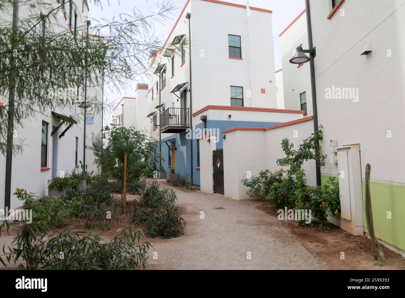 Tempe, USA. 25th Jan, 2025. Culdesac Tempe is the first car-free ...