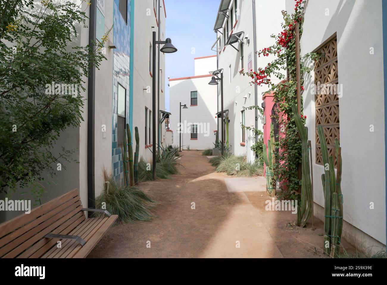 Tempe, USA. 25th Jan, 2025. Culdesac Tempe is the first car-free ...