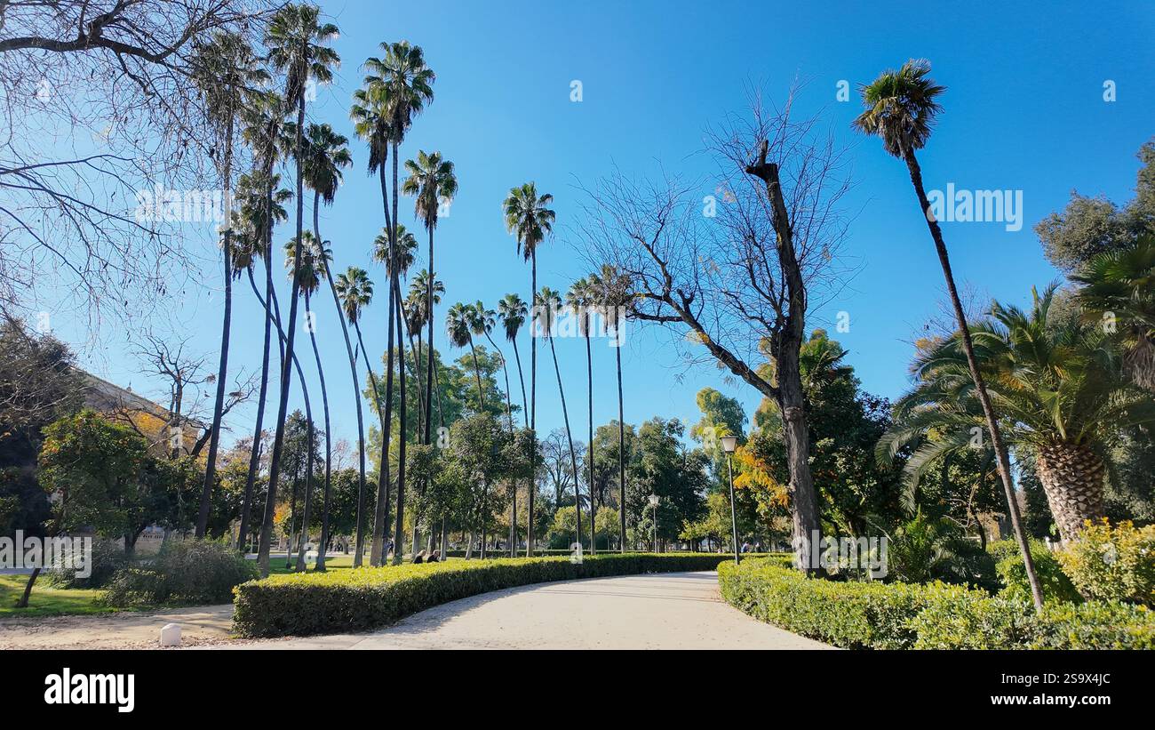 Parque de María Luisa is a prominent park in Seville, featuring scenic ...