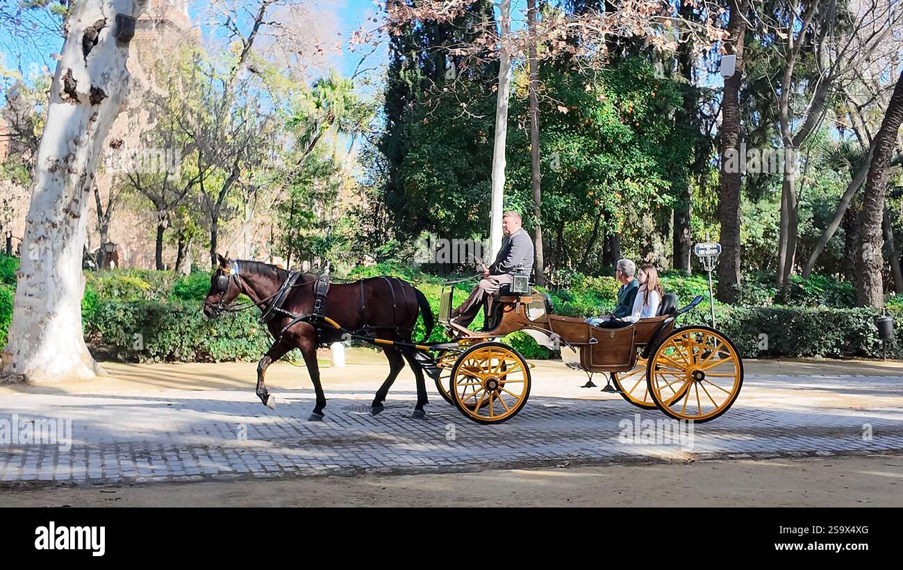 A horse-drawn carriage inside Parque de María Luisa, a prominent park ...