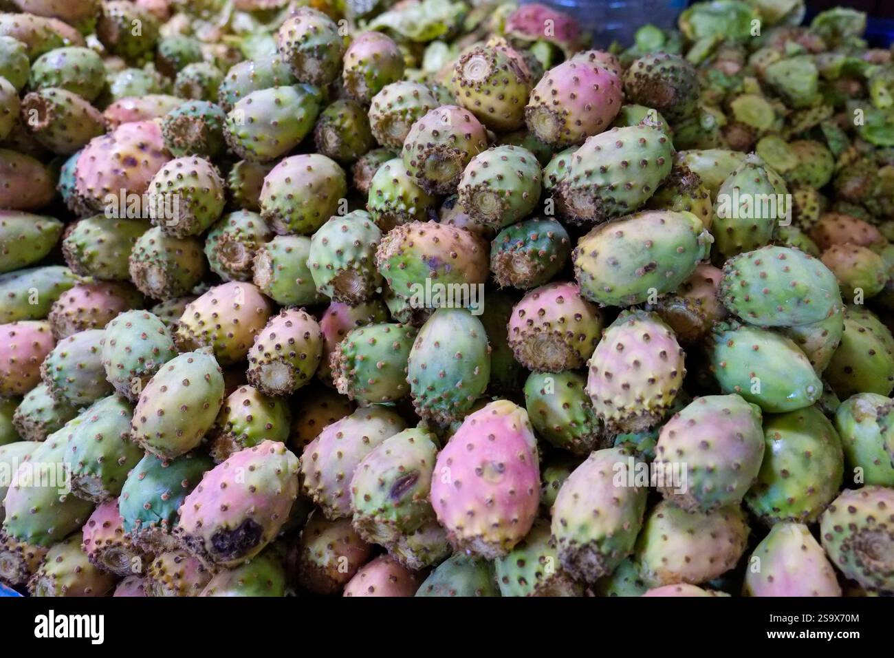 Fes, Morocco. Prickly pear fruit for sale at a stall in the medina ...