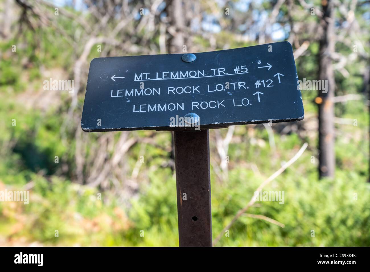 Mt Lemmon, AZ, USA - July 1, 2023: The Mt Lemmon Trailhead Stock Photo ...
