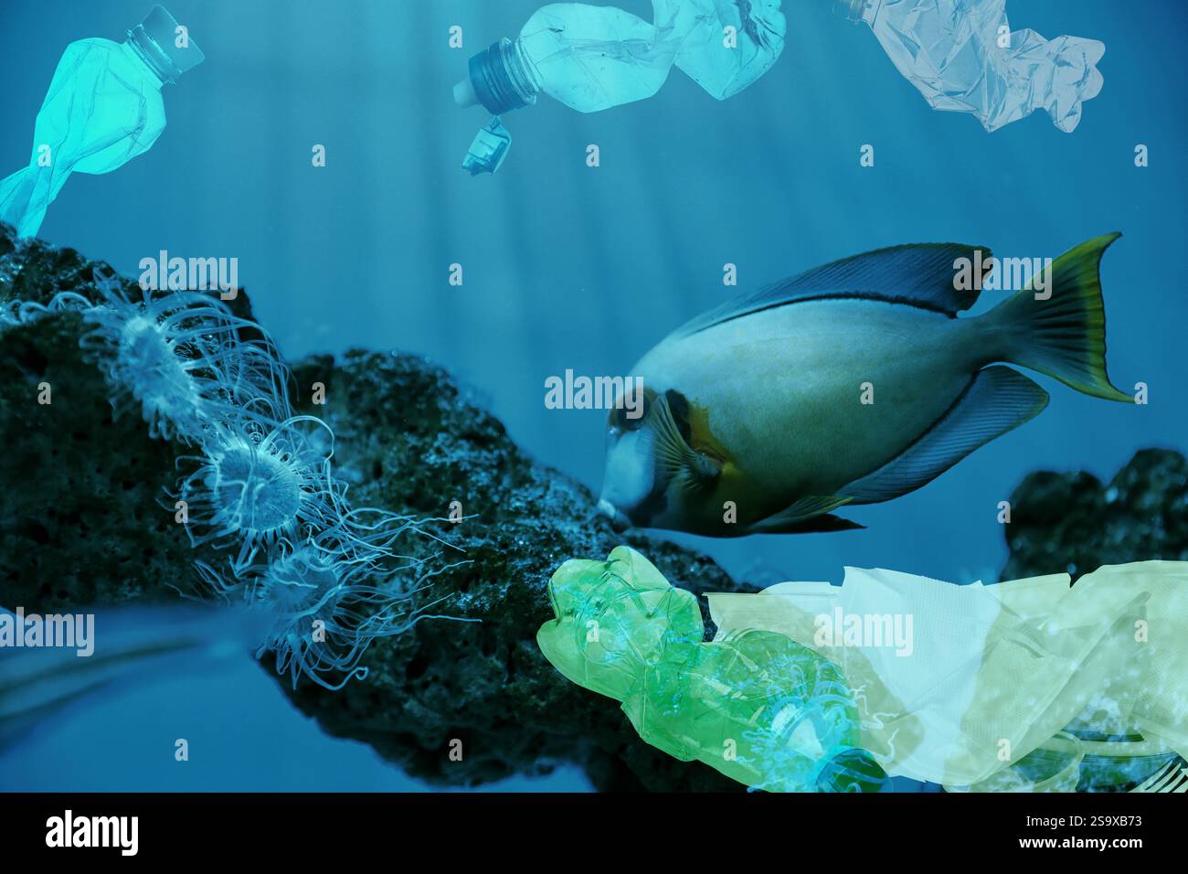 Environmental pollution. Ocean water with marine life and plastic ...