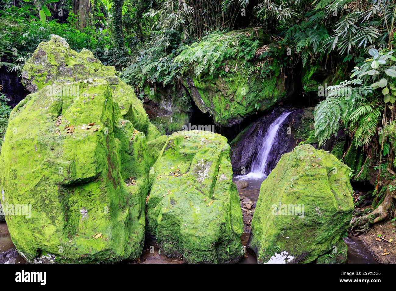 Munificent grounds of the Saraswati Temple with healing waters and ...