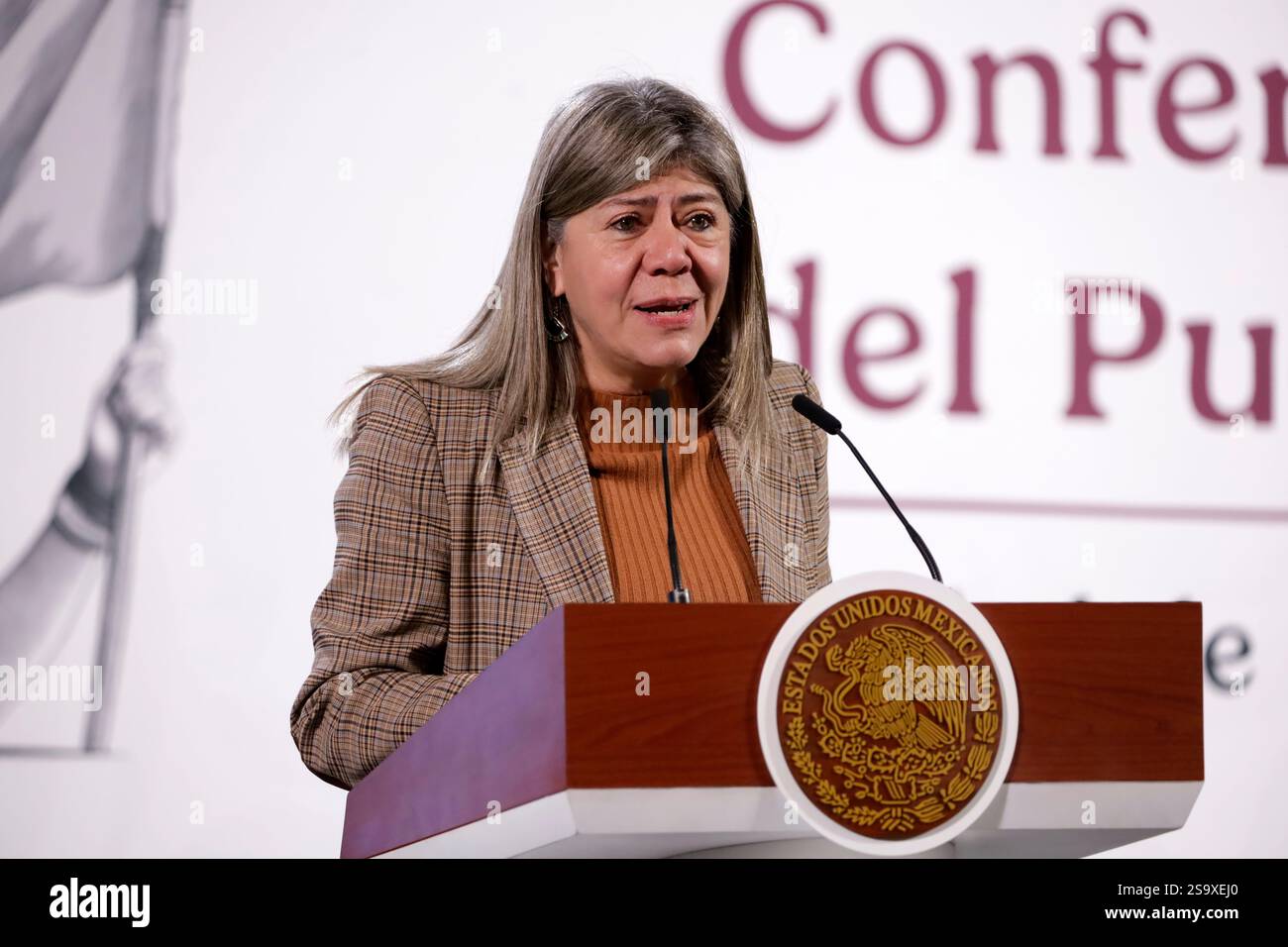 Mexico City, Mexico. 27th Jan, 2025. General Director of Financiera ...