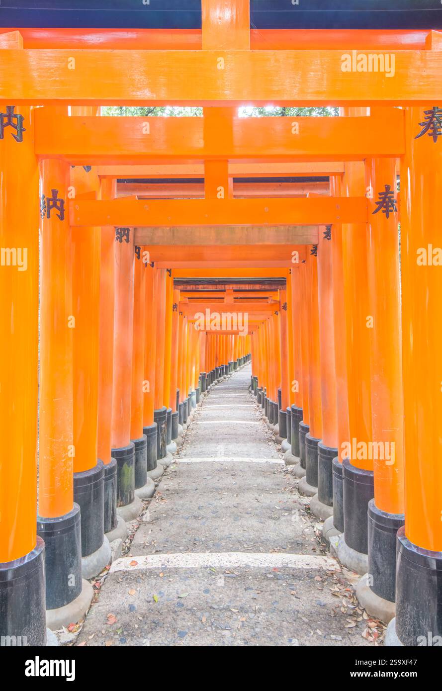 Japan, Kyoto. Fushimi Inari Grand Shrine, One Thousand Gates Stock ...