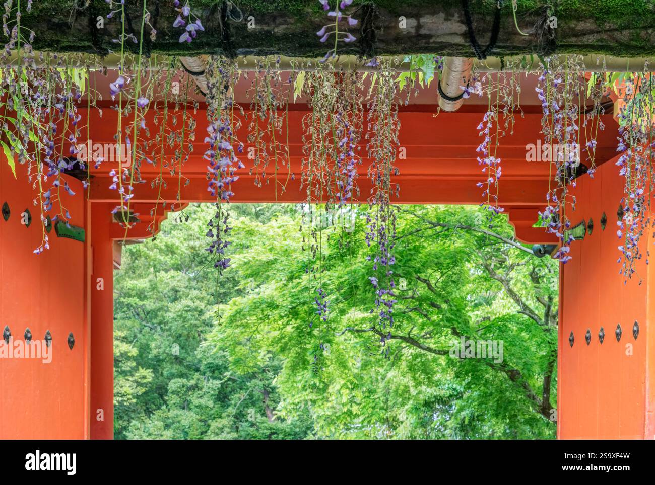 Japan, Nara. Kasuga Shrine Stock Photo - Alamy