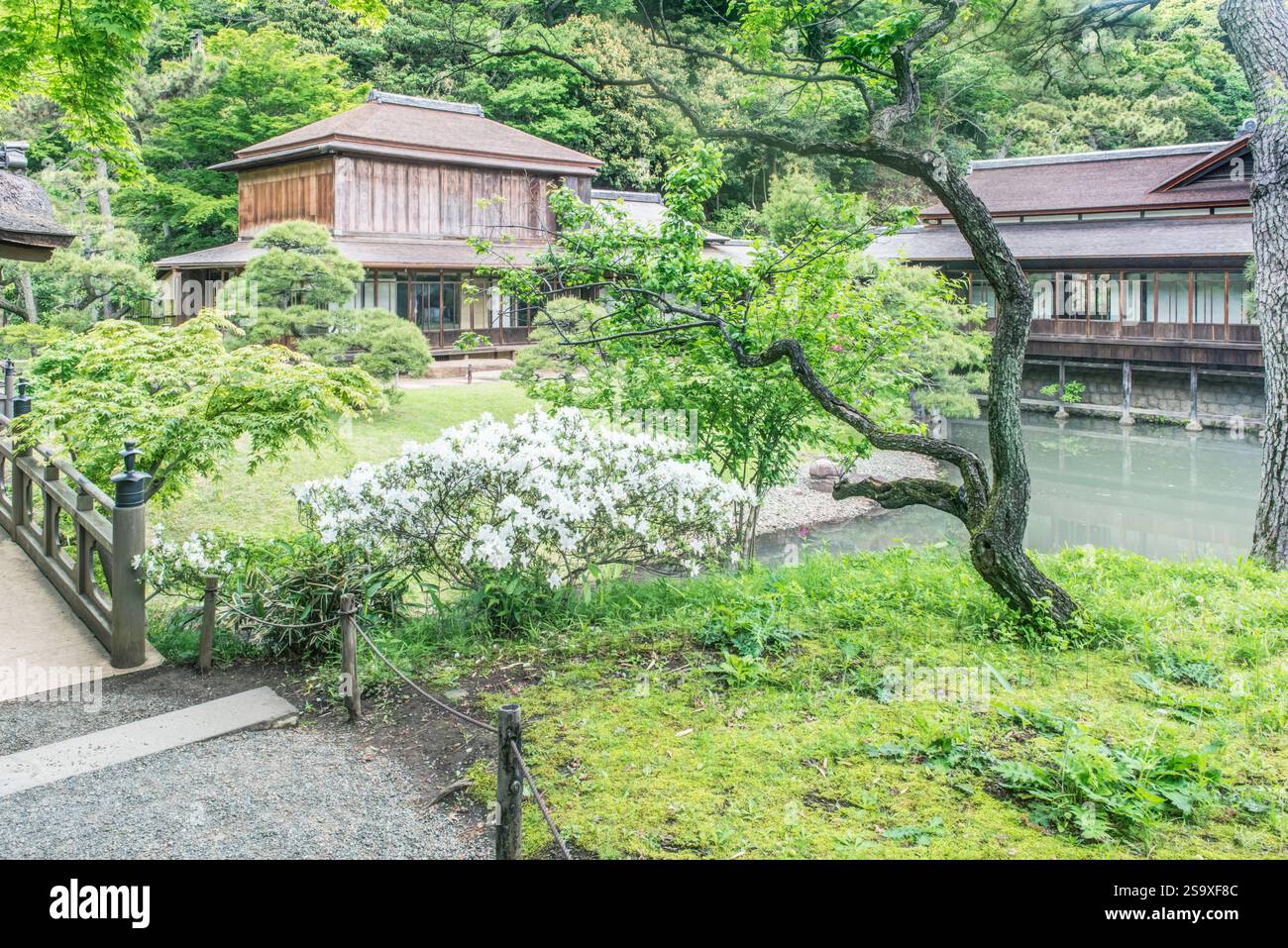 Japan, Yokohama. Sankei-en Garden Stock Photo - Alamy
