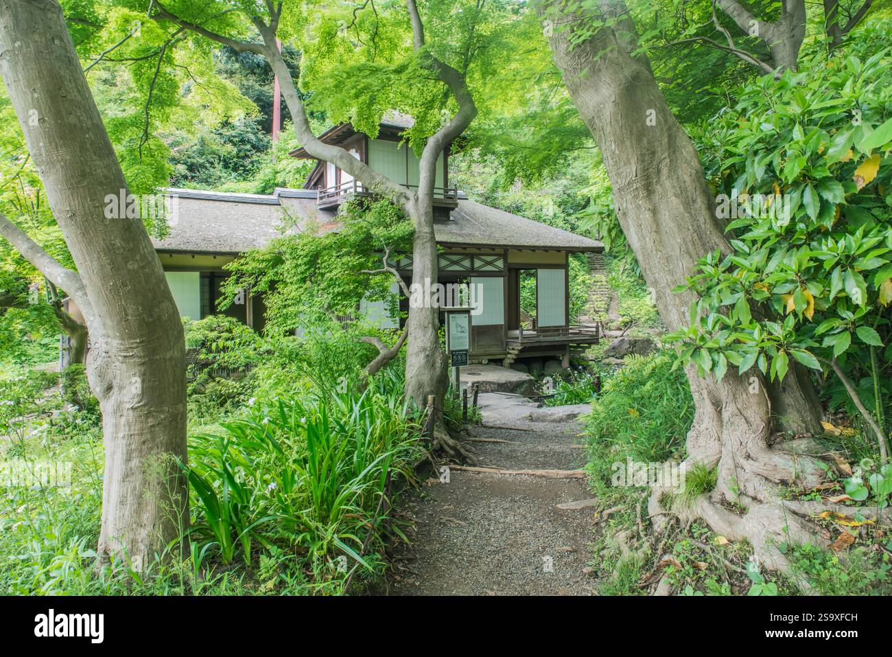 Japan, Yokohama. Sankei-en Garden Stock Photo - Alamy