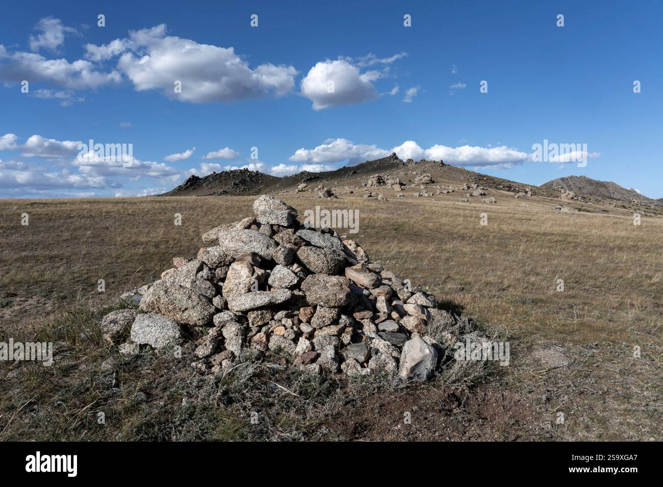 Asia, Mongolia, Hustai National Park, Hustai Mountains. The Mongolian ...