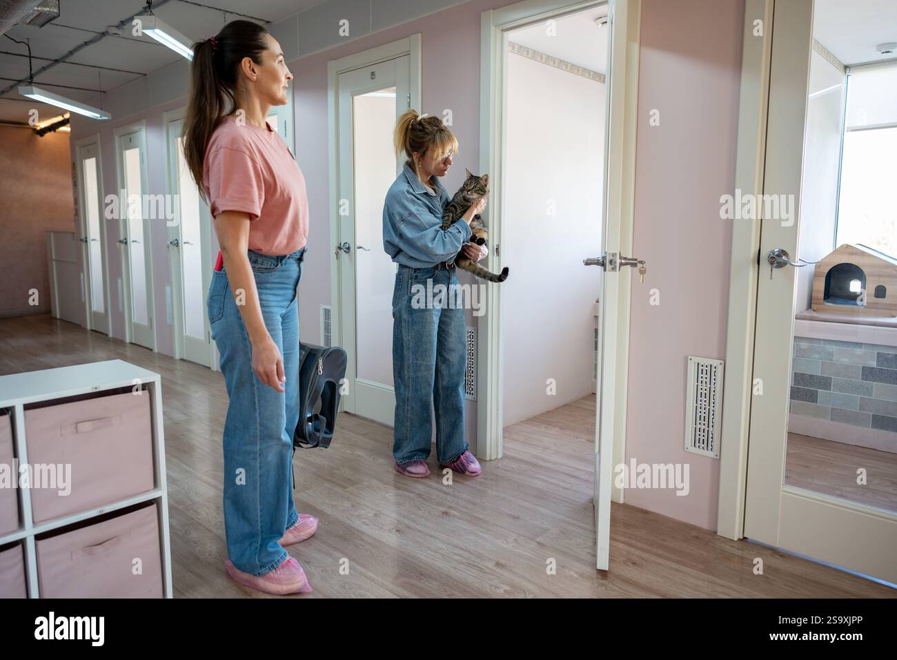 Cat owner arrive to checkin pet at animal hotel. Pet facility, hotel ...