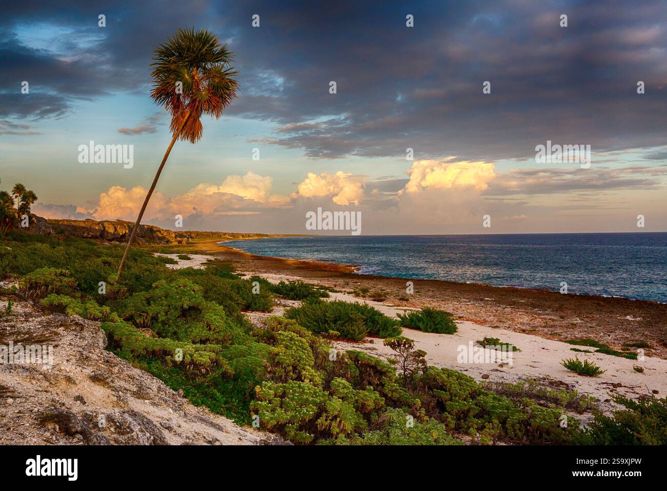 Colorful beach along the south shore of western Cuba, Guanahacabibes ...